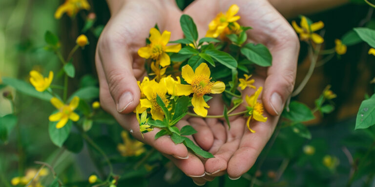 St. John's Wort and Drug Interactions Revisited Part 2 - Donnie Yance